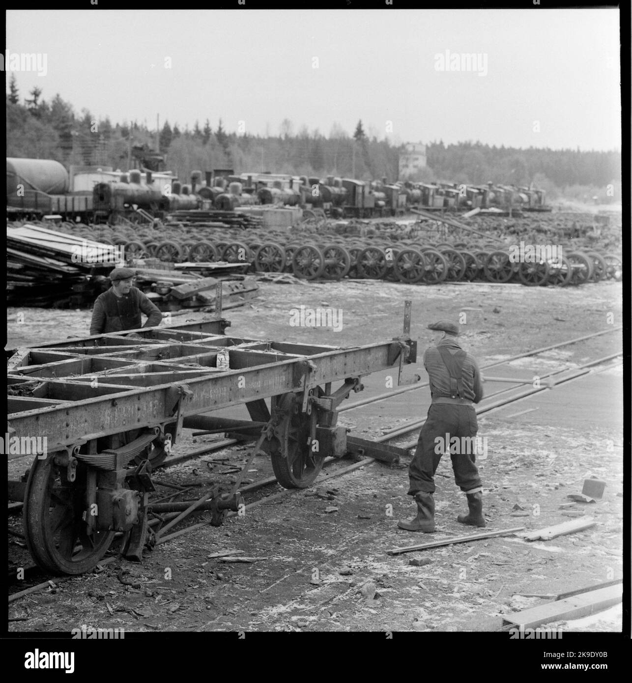 The scrapping site in Vislanda Stock Photo - Alamy