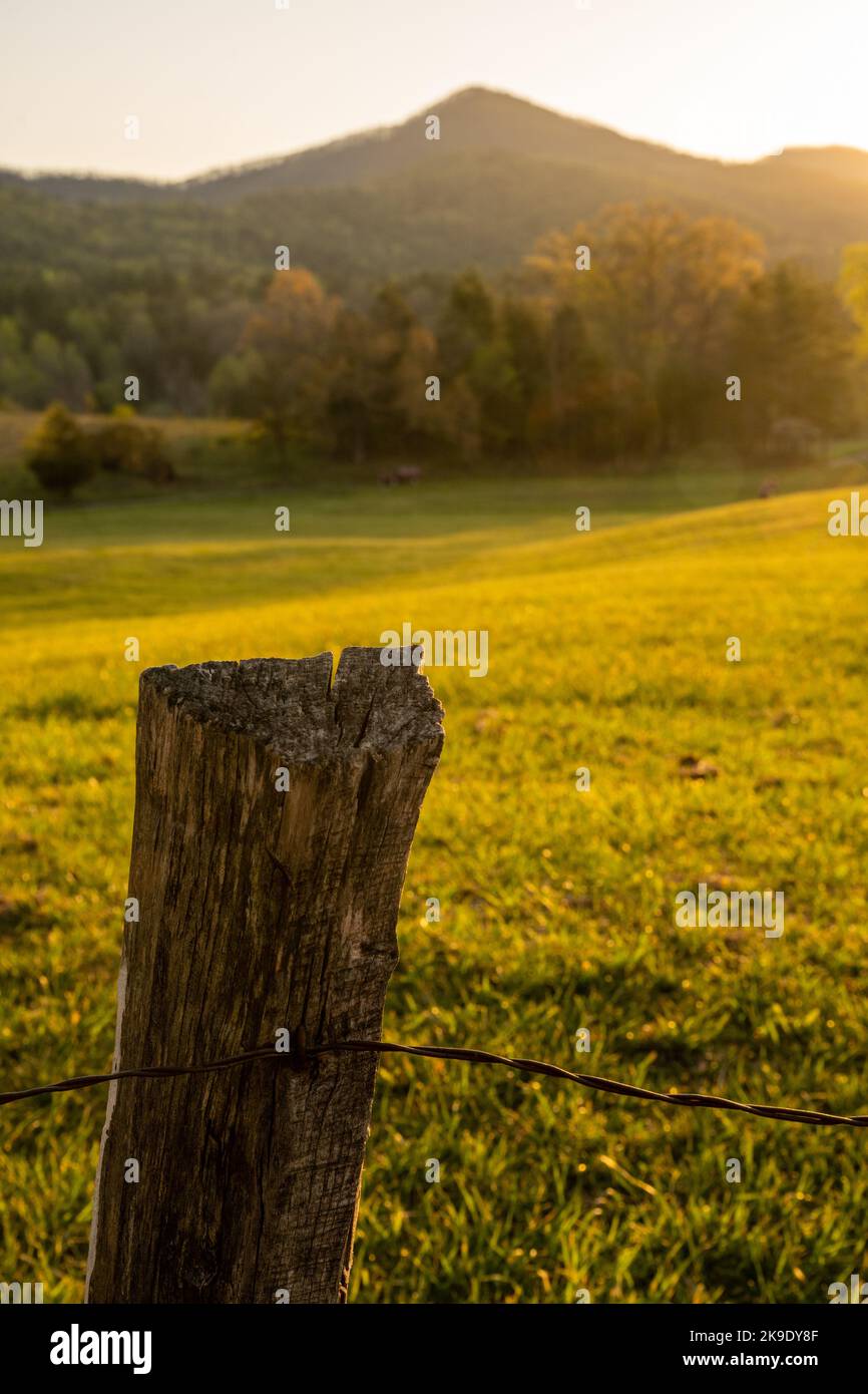 Top of Old Post At Sunset in Cades Cove Stock Photo - Alamy