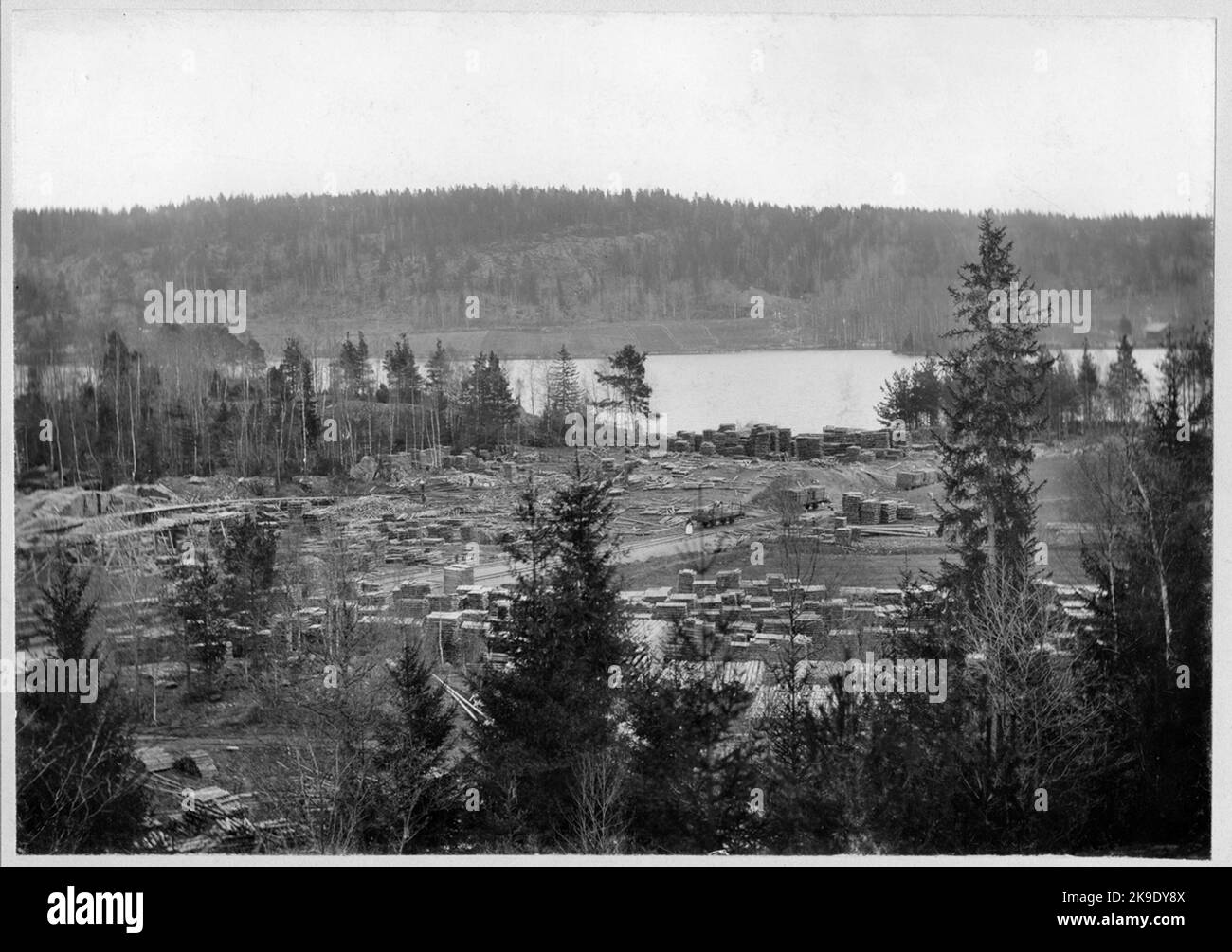 Floating of timber Stock Photo - Alamy