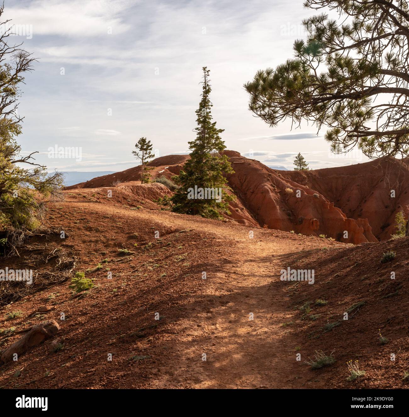 Under the Rim Trail Heads up Toward Bend over Ridge in summer Stock ...
