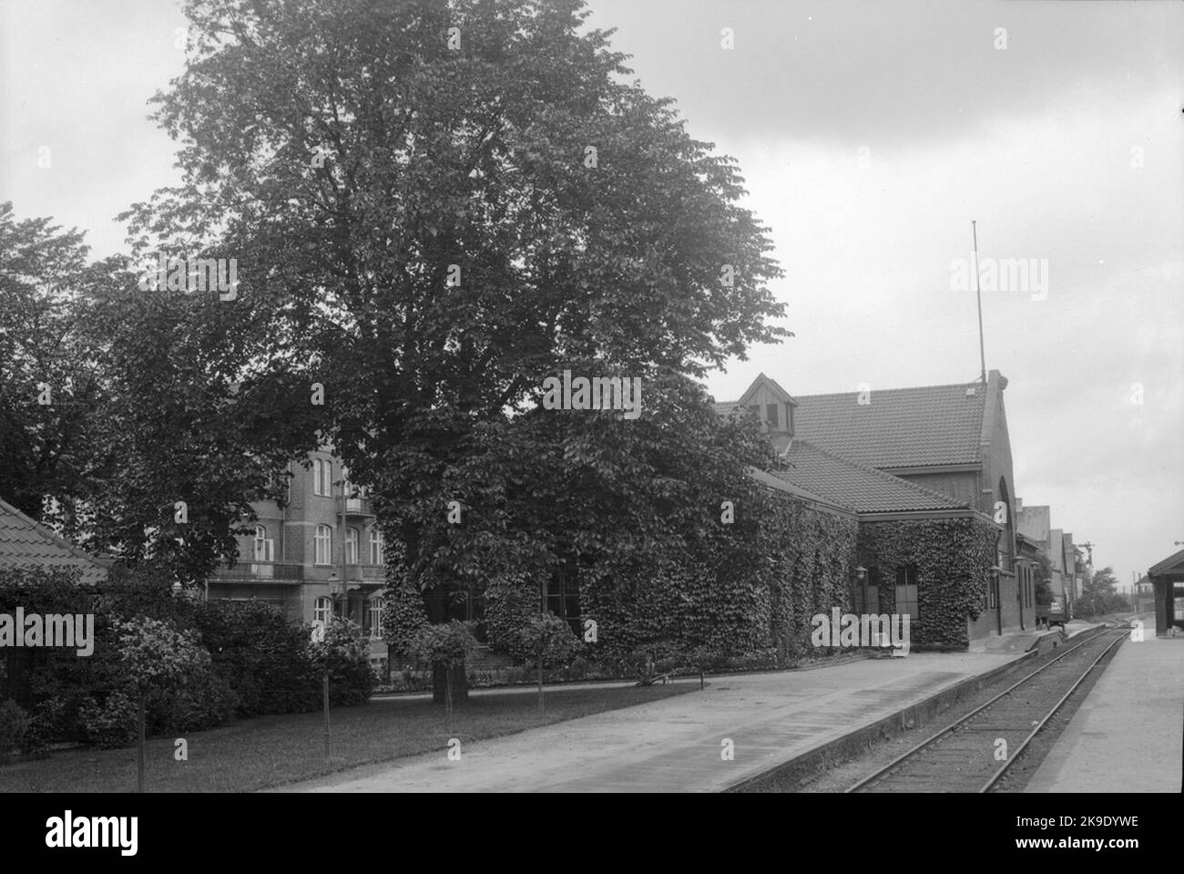 Plant areas Black and White Stock Photos & Images - Alamy