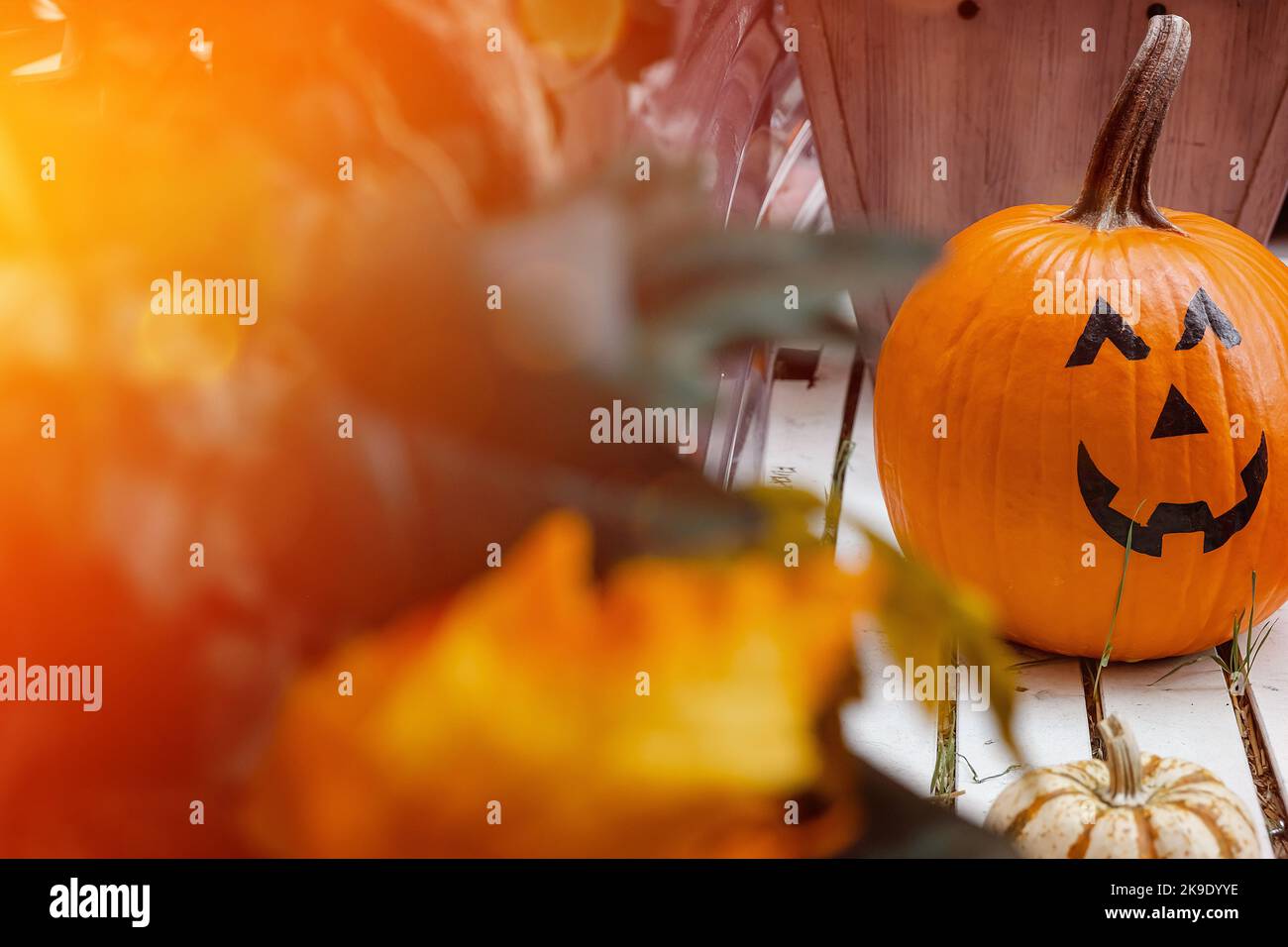Halloween Symbol. Scared face Halloween pumpkin. Jack head Stock Photo ...