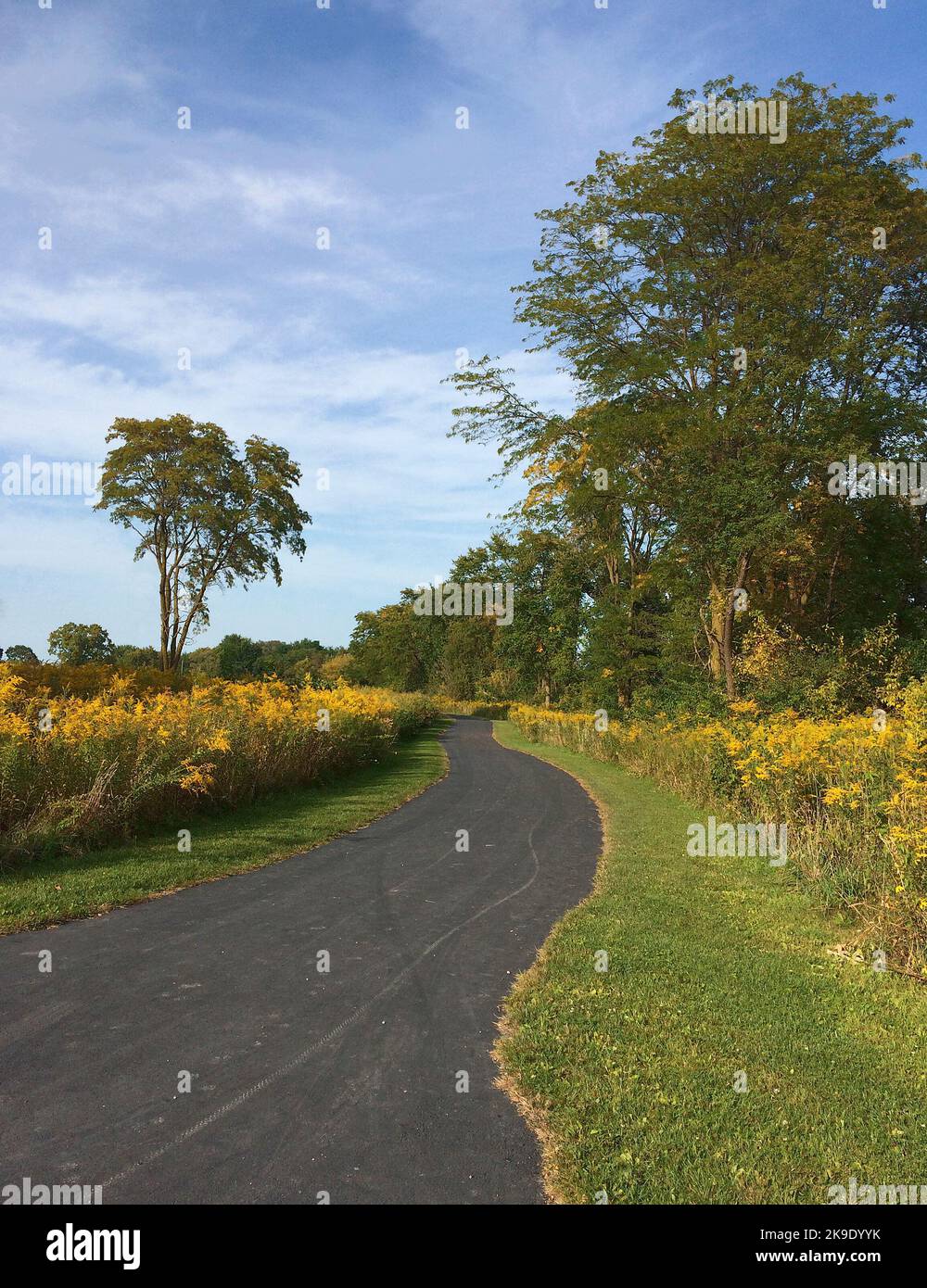 A trail winds through Riverview Farmstead Forest Preserve in Will ...