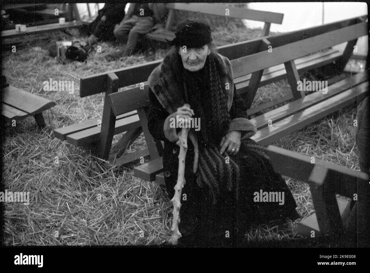Evacuation of Finnish refugees, autumn 1944 Stock Photo - Alamy