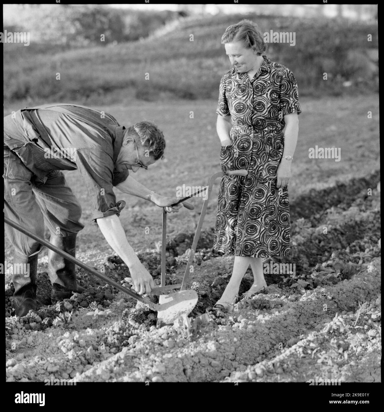 Hand plow hi-res stock photography and images - Alamy