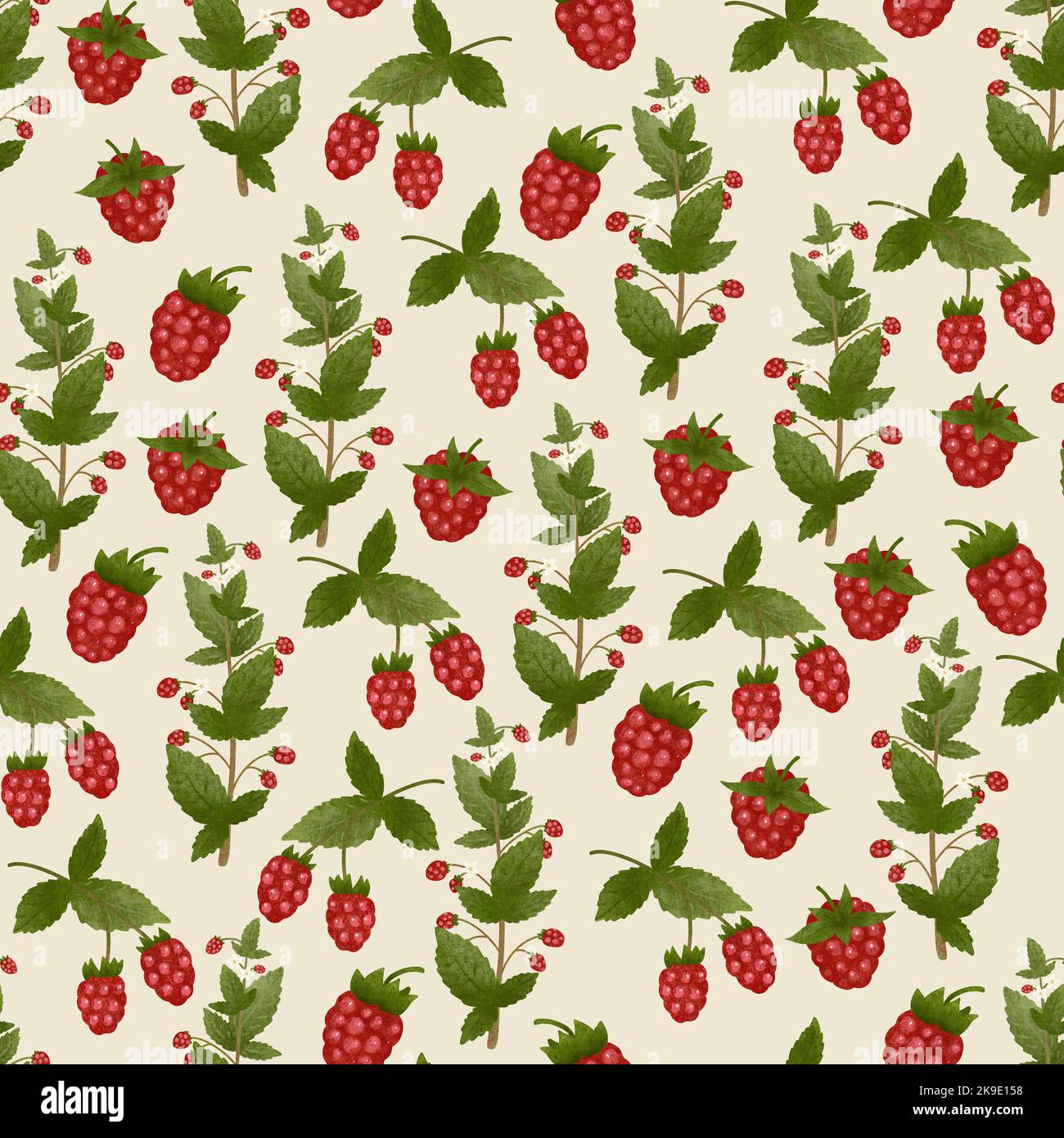 Raspberry seamless pattern on the light beige background. Textured ...