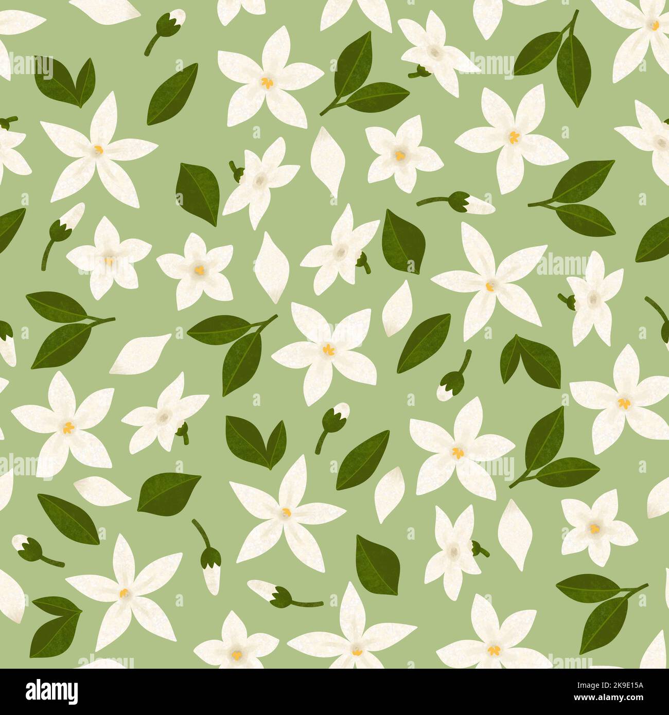 Seamless Repeat Pattern with Jasmine Flower and Leaves on Green ...
