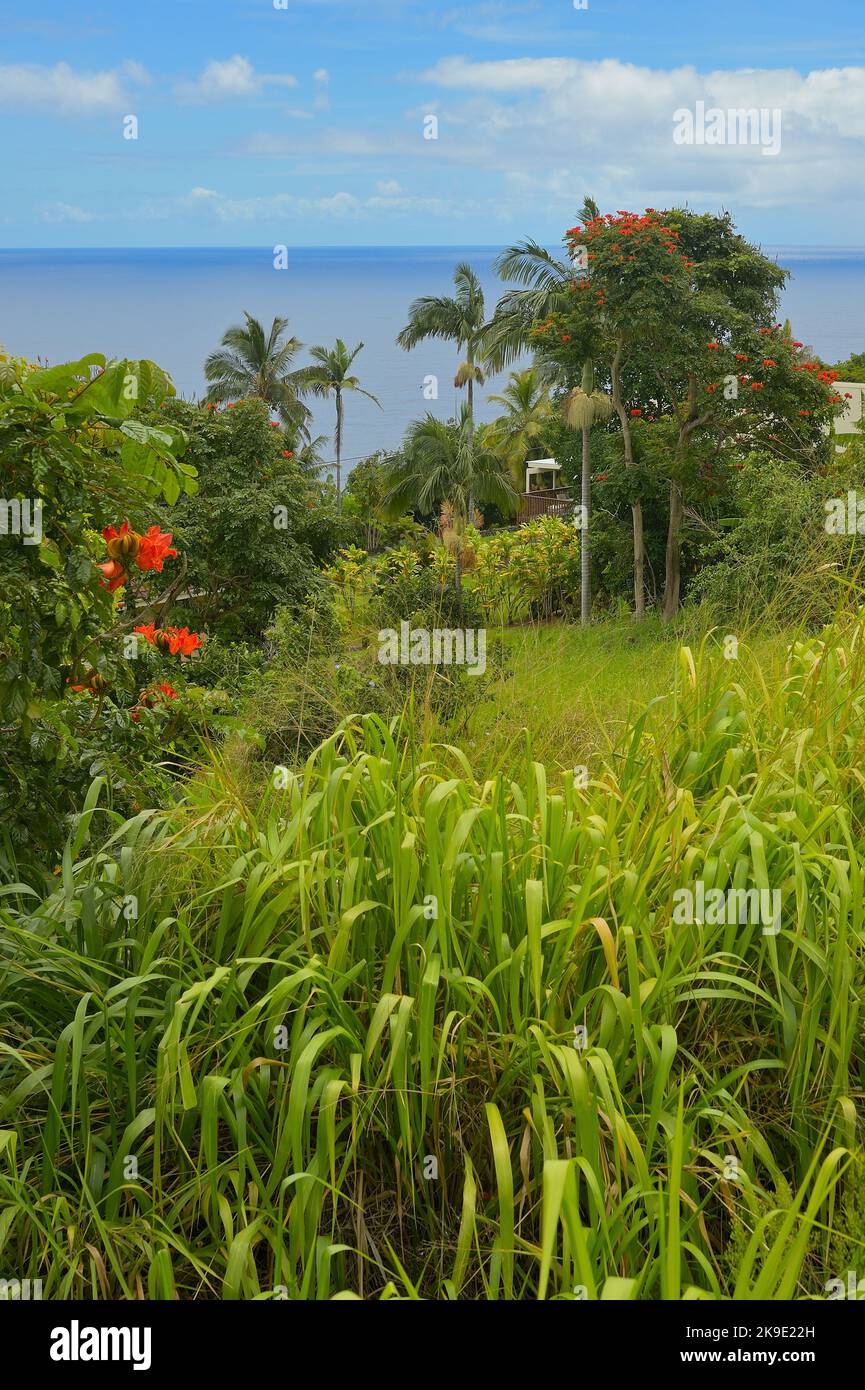 Scenic impressions from the magic landscape and eastern coastline along ...
