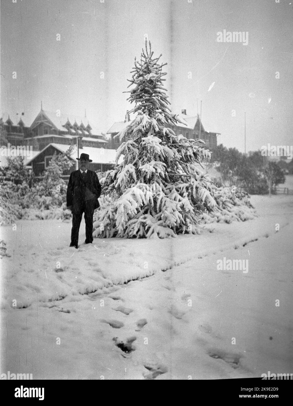 Winter season seasonal changes Black and White Stock Photos & Images ...