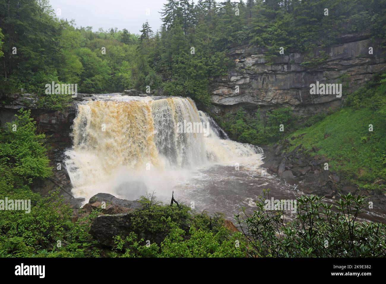 Blackwater River and Falls - West Virginia Stock Photo - Alamy