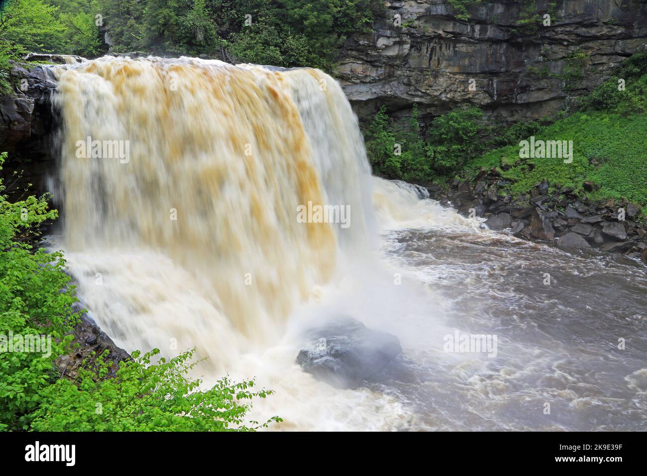 Amber water of Blackwater Falls - West Virginia Stock Photo - Alamy