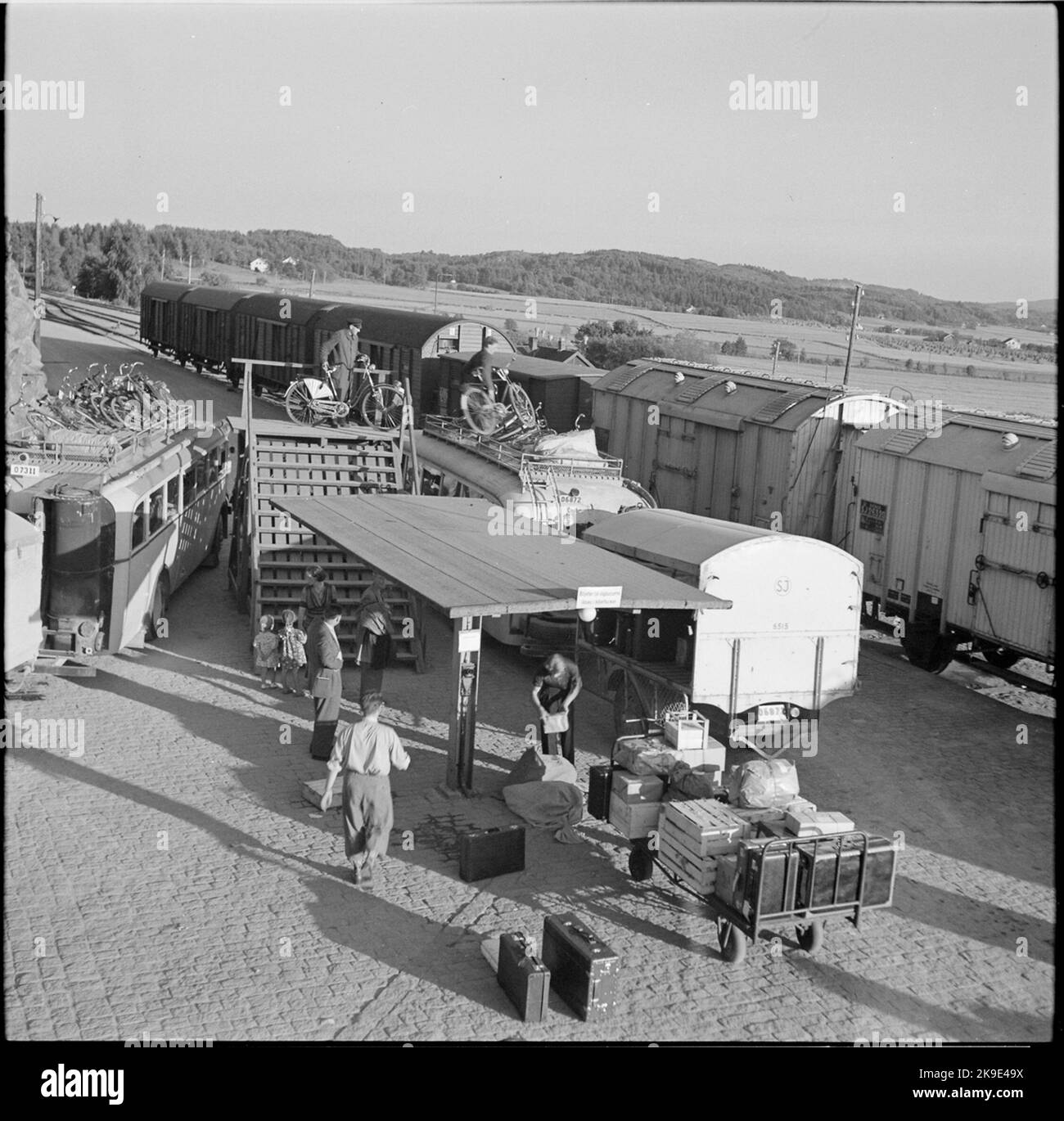 Loading bicycles between buses and freight wagons at yard. Cooling ...