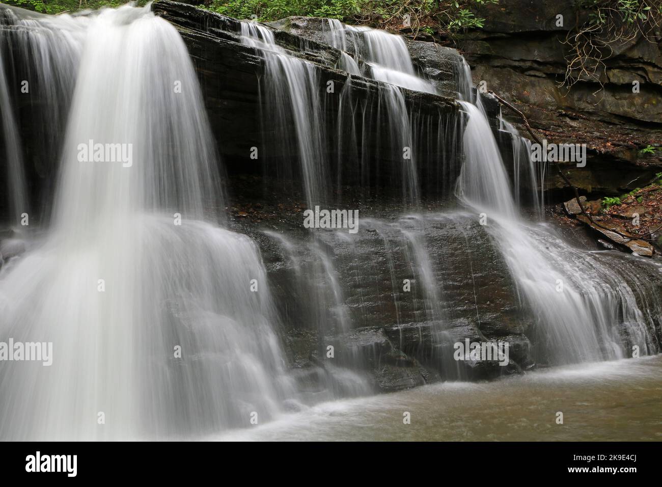 Holly river state park west hi-res stock photography and images - Alamy