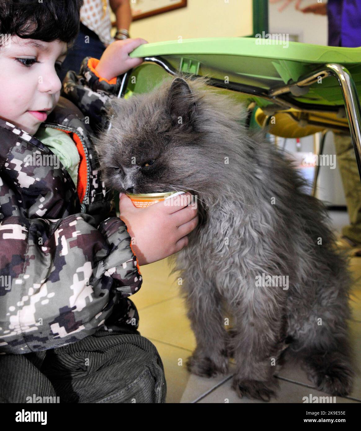 Human and pet interaction hi-res stock photography and images - Alamy