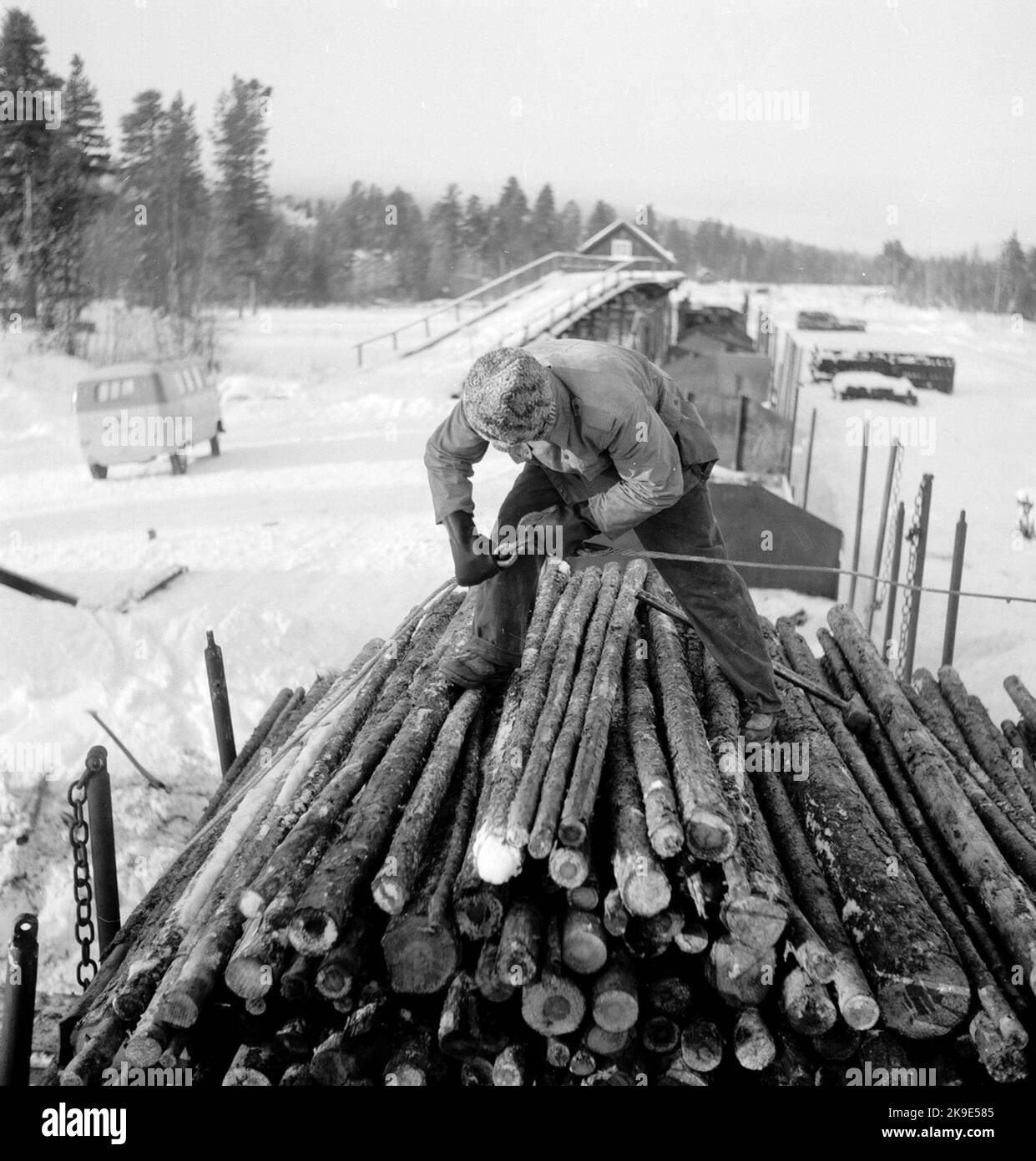 Loading of timber from truck to freight wagon with puller timber ...