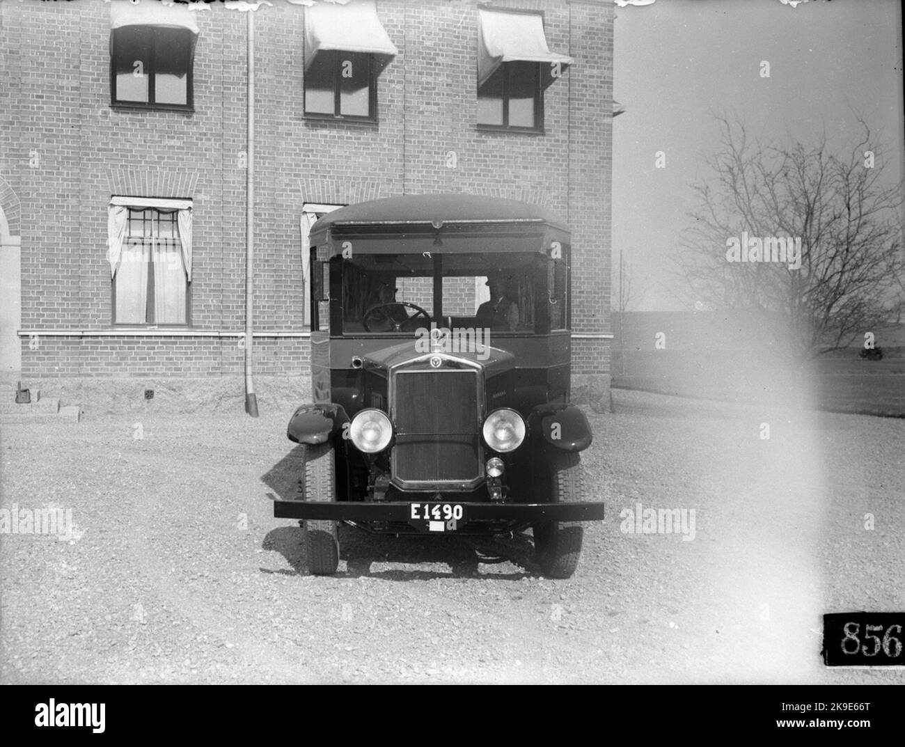 Skania vabis hi-res stock photography and images - Alamy