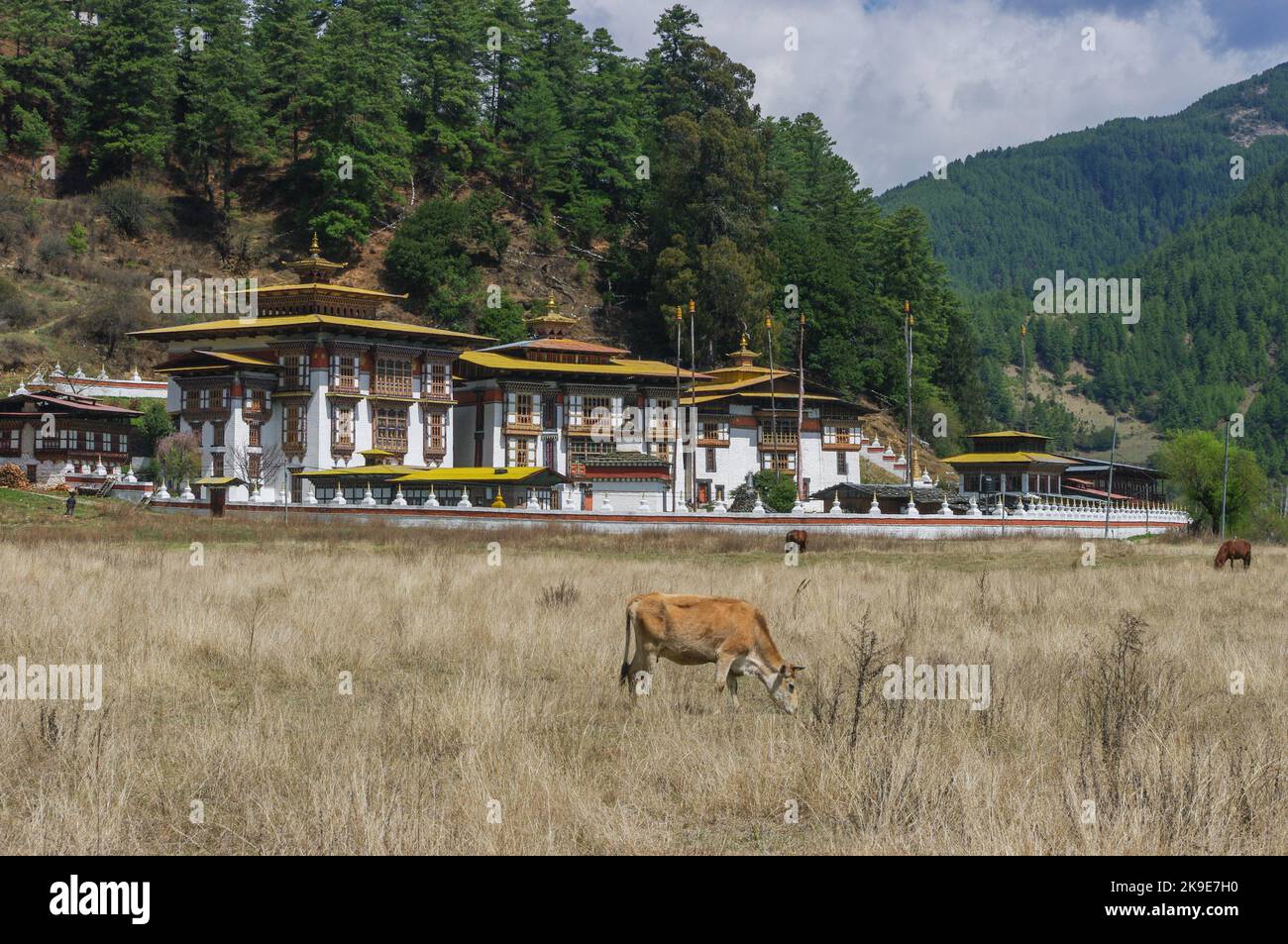 Mountain landscape with cows grazing in front of historic landmark ...