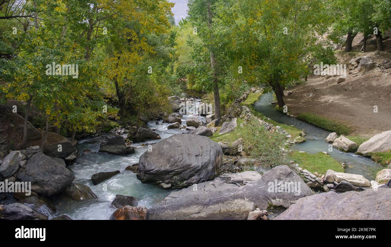 Scenic rural landscape with river flowing through willow trees in ...