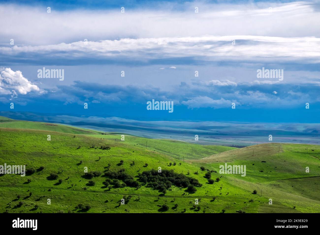 Palouse region of eastern Oregon, USA, view from an overlook, green ...