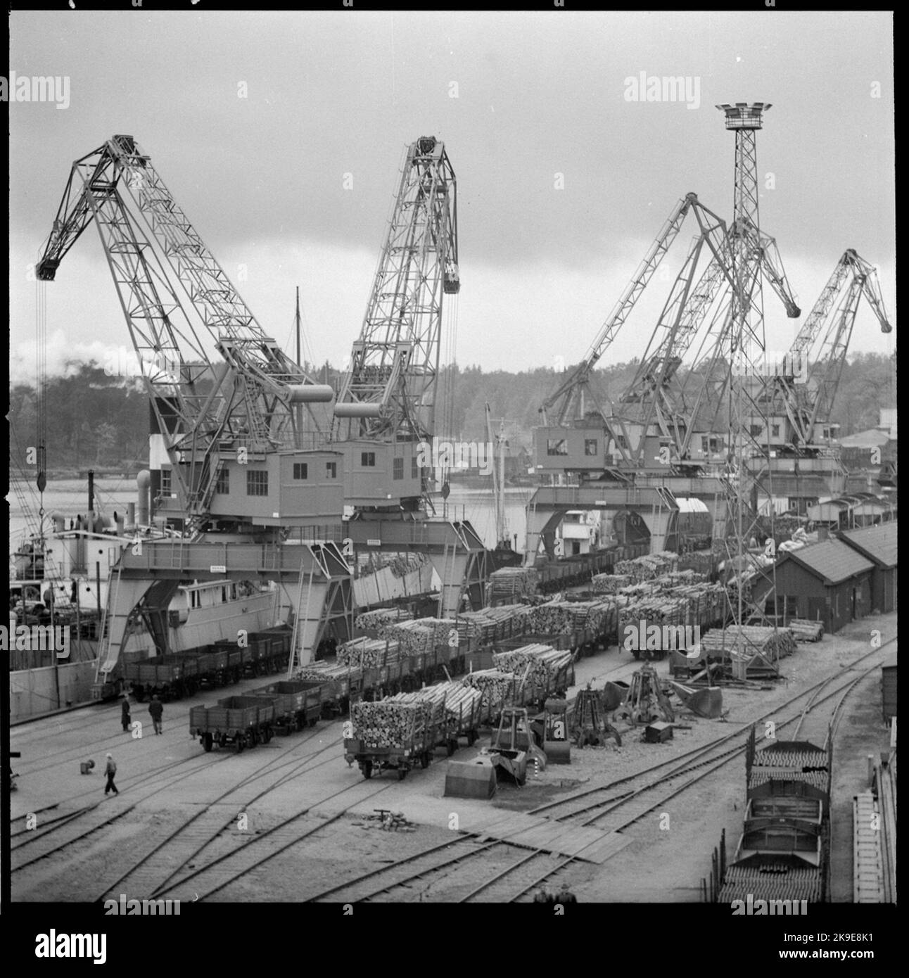 Loading of timber Stock Photo - Alamy