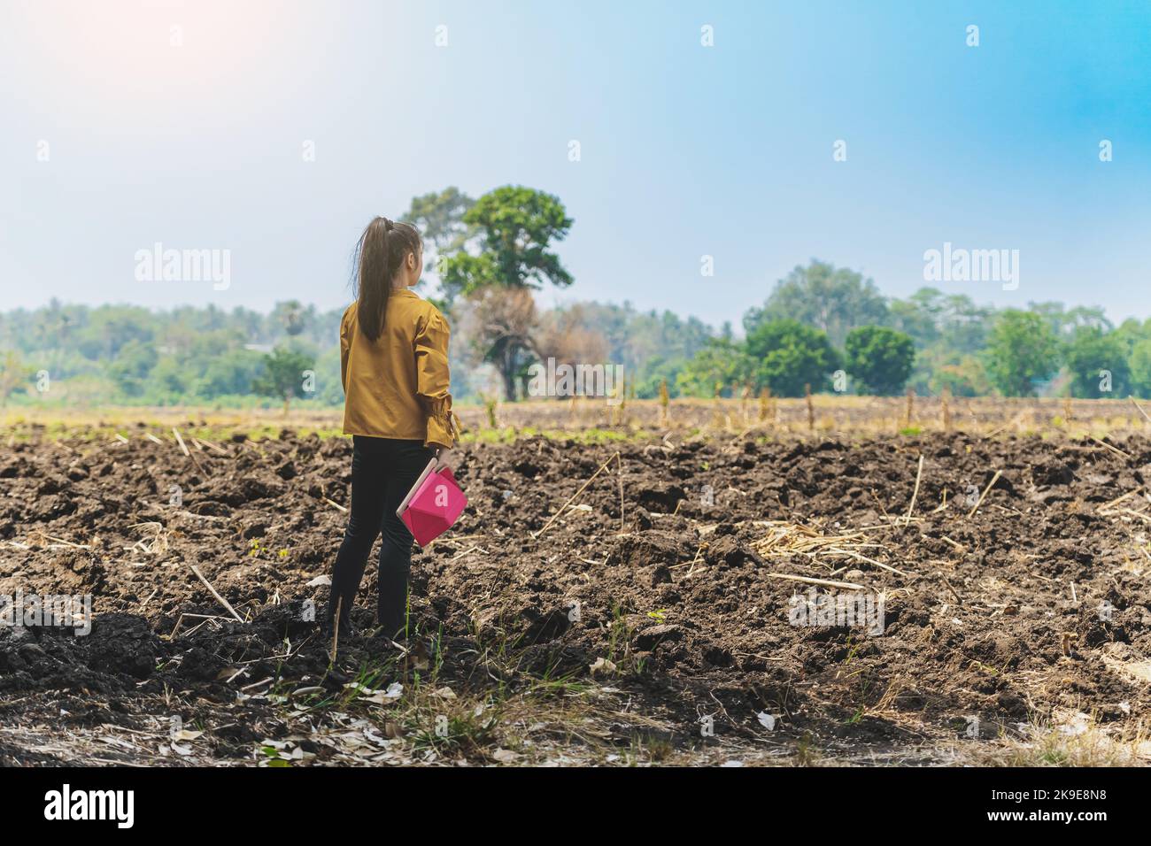 Back view of Asian young woman farmer stand alone with tablet to look ...
