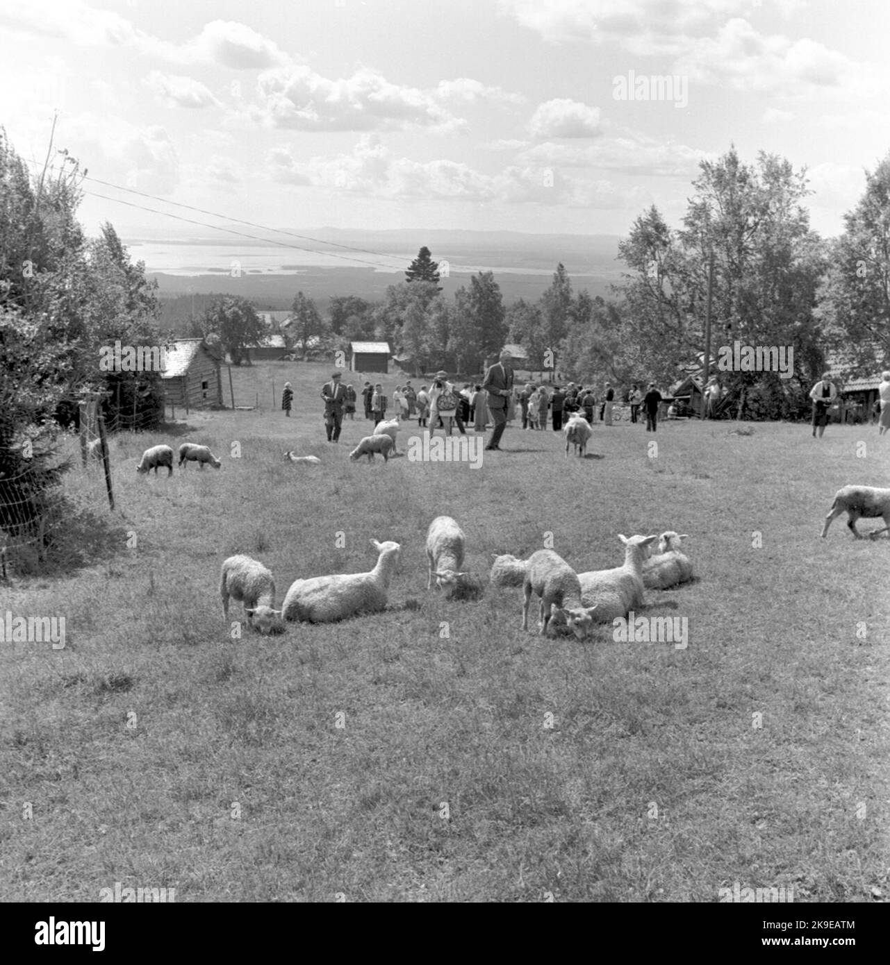 Sunlit railway Black and White Stock Photos & Images - Alamy