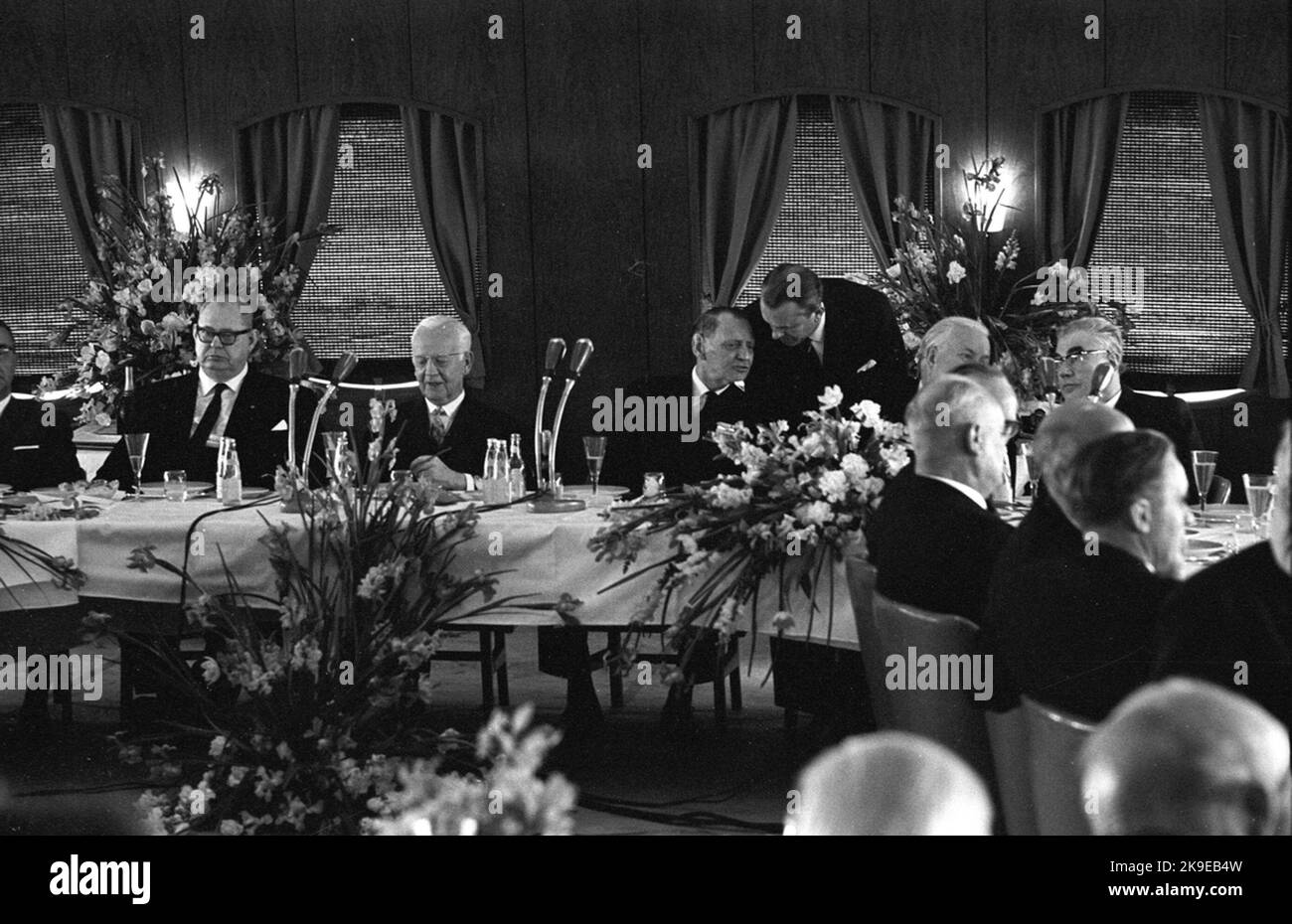 Inauguration of the "Bird Road Line" between Rodbyhavn, Lolland ...