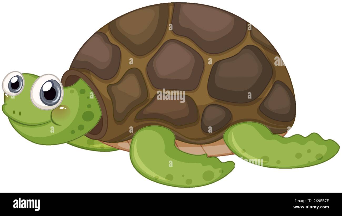 Cute turtle cartoon character on white background illustration Stock ...