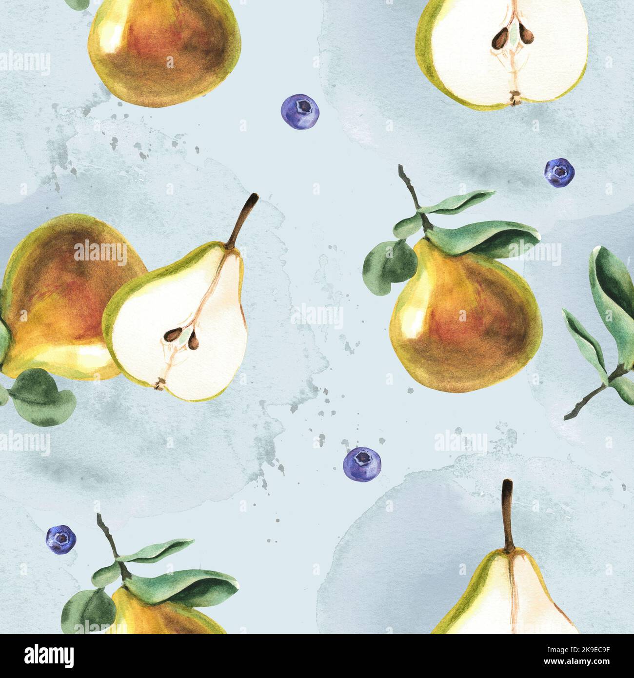 Pears and blueberries on a watercolor background. Drawn by hand ...