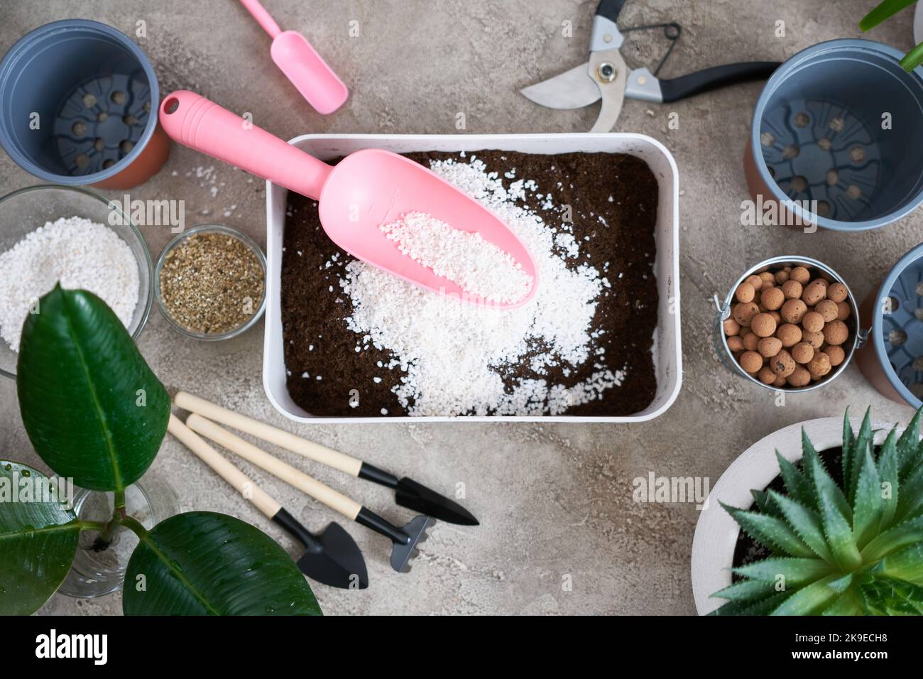preparation of soil substrate for planting houseplant into a pot Stock ...