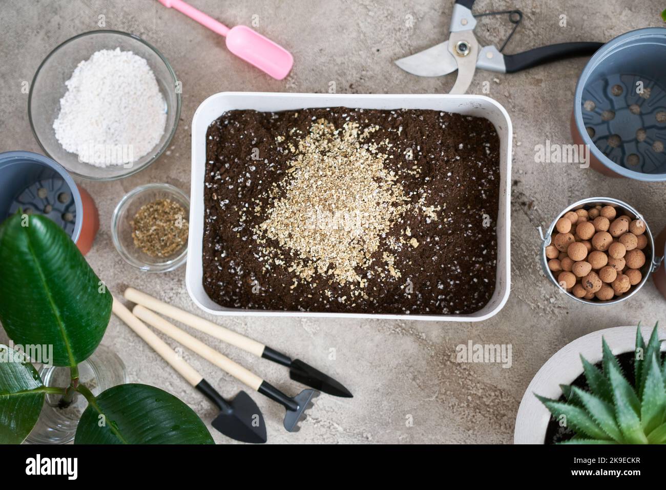 preparation of soil substrate for planting houseplant into a pot Stock ...