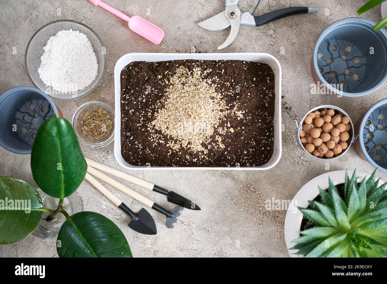 preparation of soil substrate for planting houseplant into a pot Stock ...