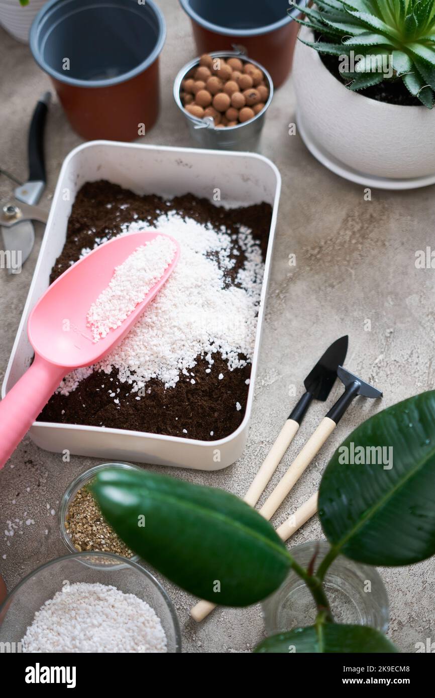 preparation of soil substrate for planting houseplant into a pot Stock ...