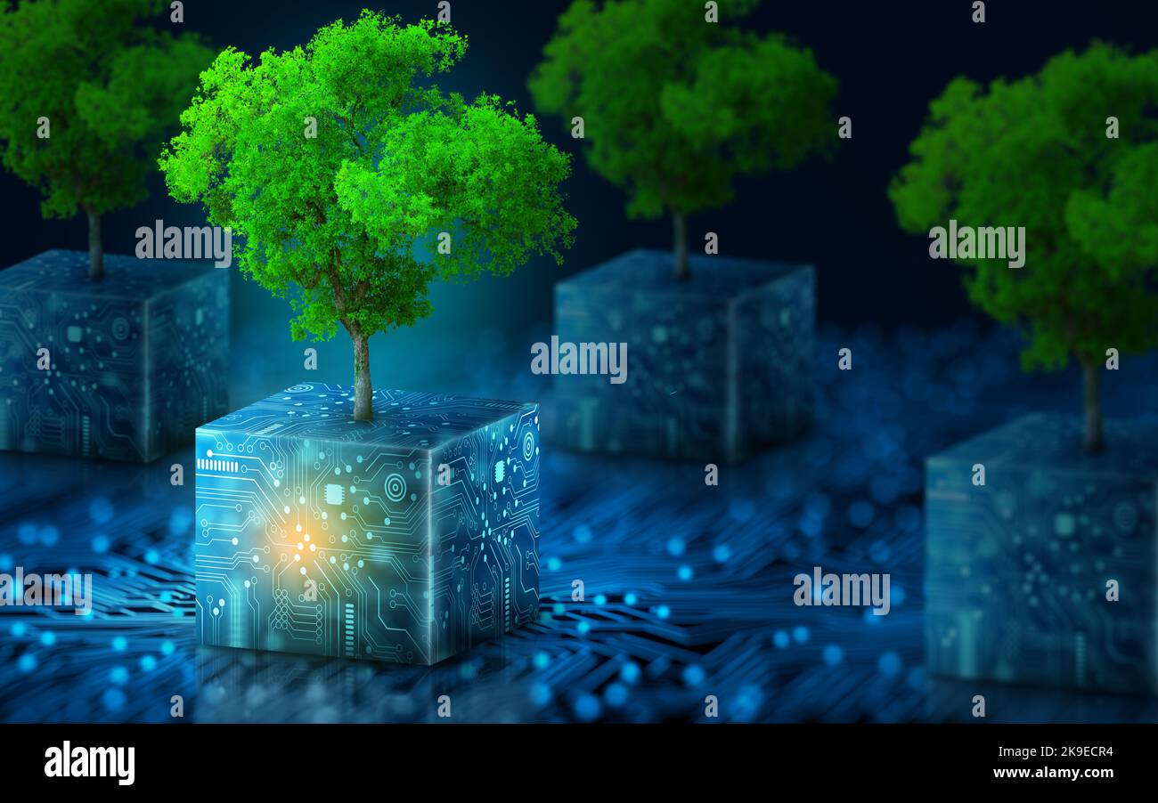 Tree growing on Circuit digital cube. Digital and Technology ...