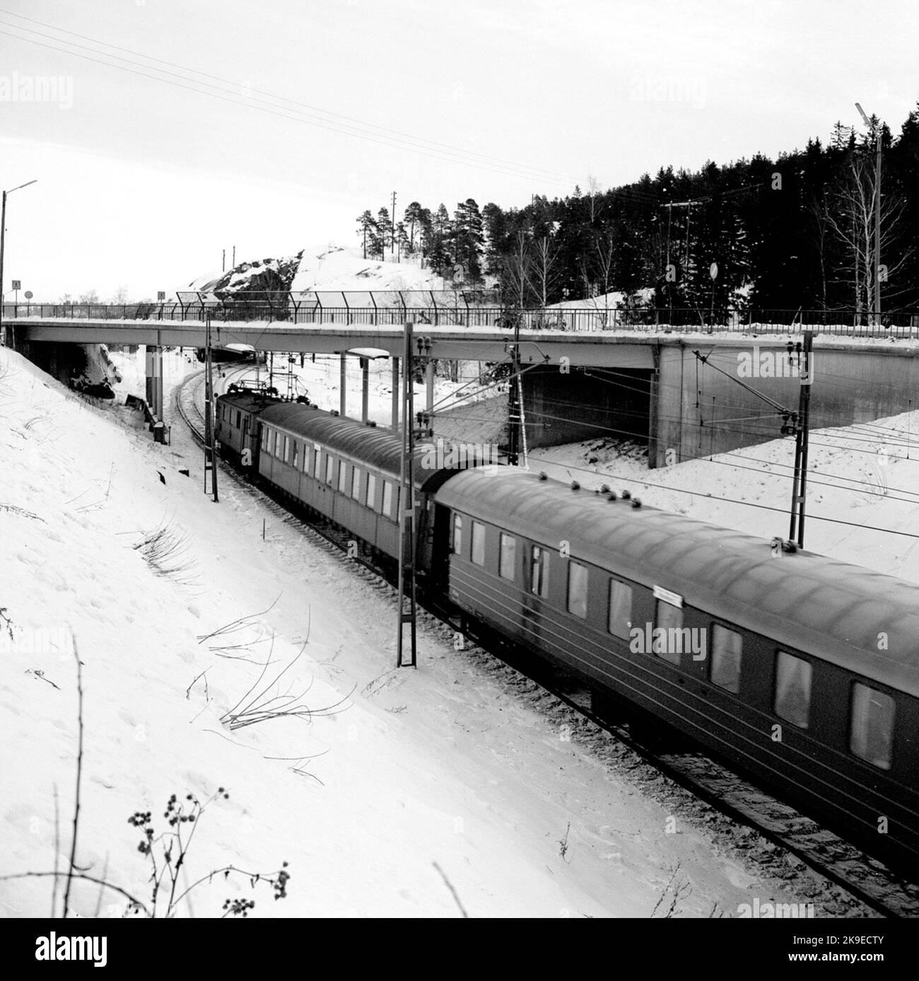 441 桃原の吊橋 Black and White Stock Photos & Images - Alamy