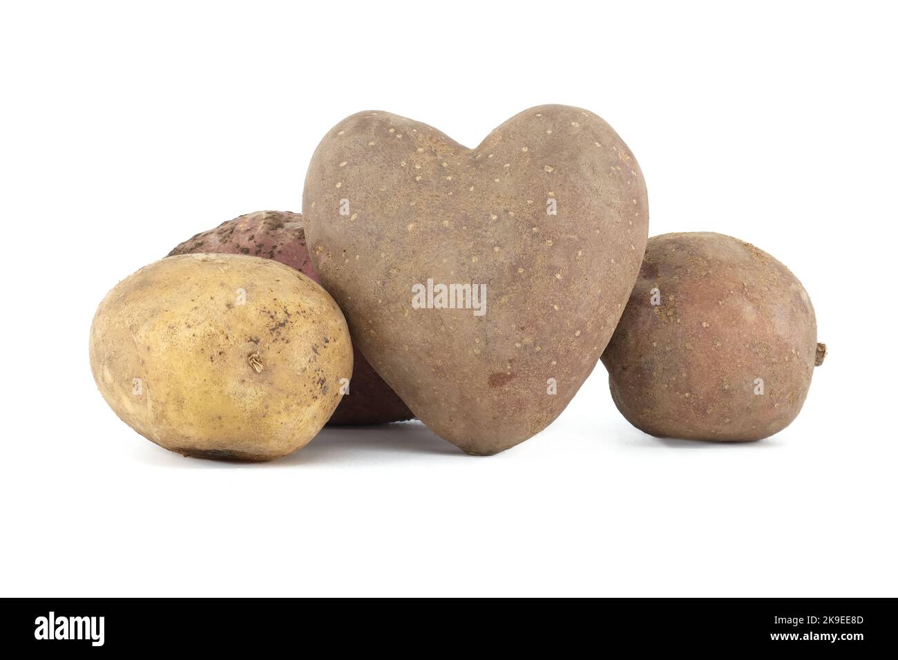 Heart-shaped potato in front of a pile of multicolored potatoes over a ...