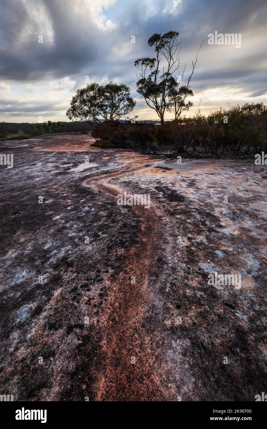 Brisbane water national park hi-res stock photography and images - Alamy
