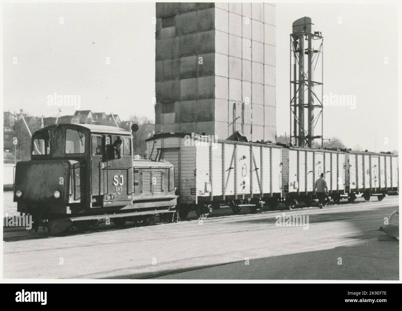 Pig train at Visby harbor. The train carried animal bodies from the ...