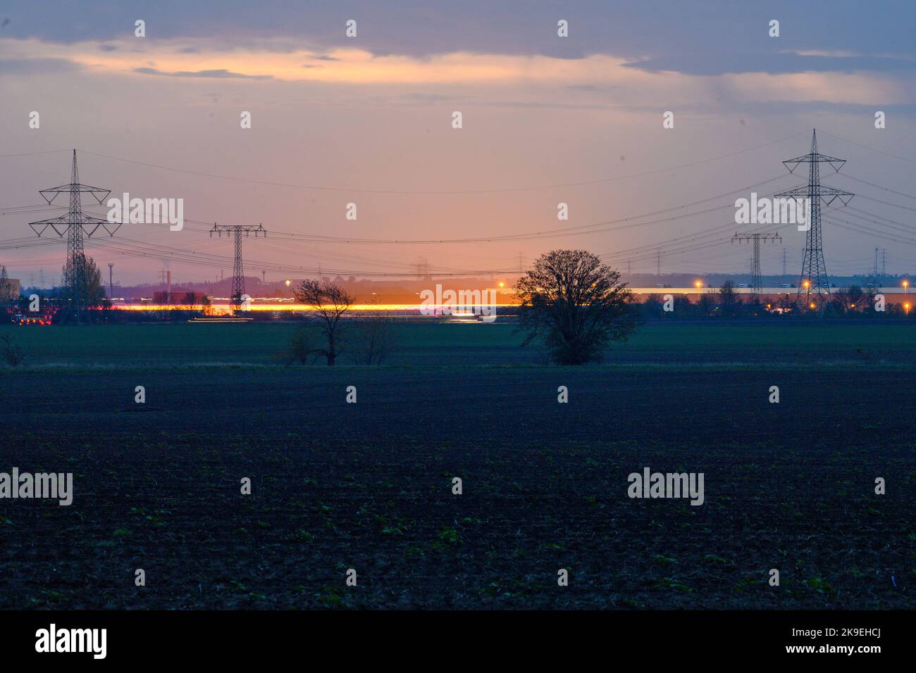Magdeburg, Germany. 28th Oct, 2022. A tree stands on a field. Behind it ...