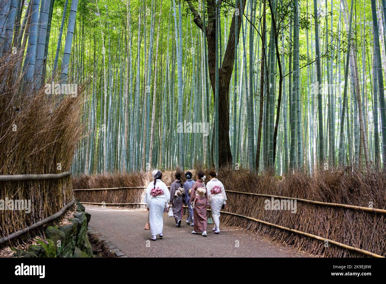 Magic bamboo hi-res stock photography and images - Alamy