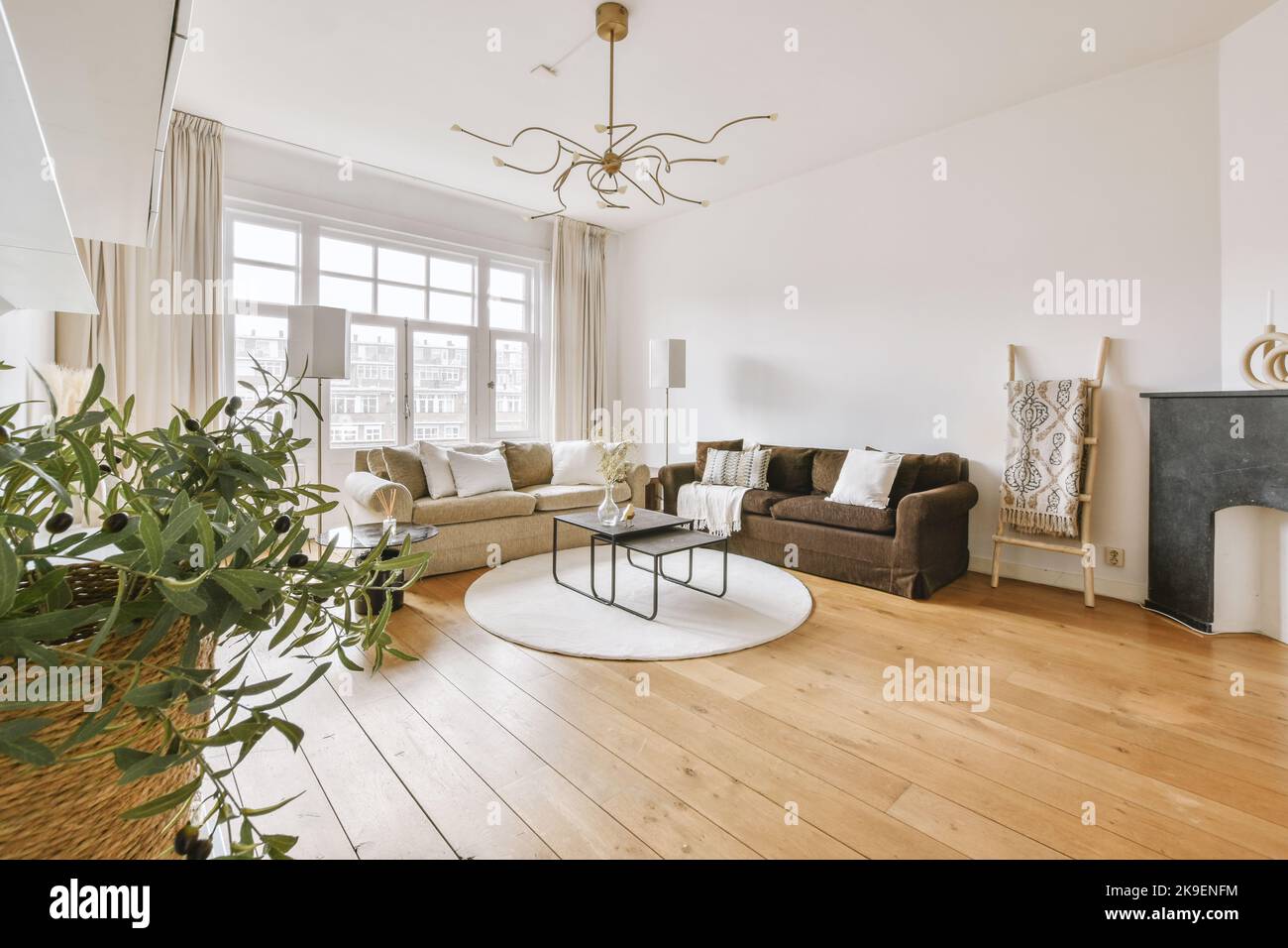 Comfortable sofa with soft cushions located under stylish chandelier in ...