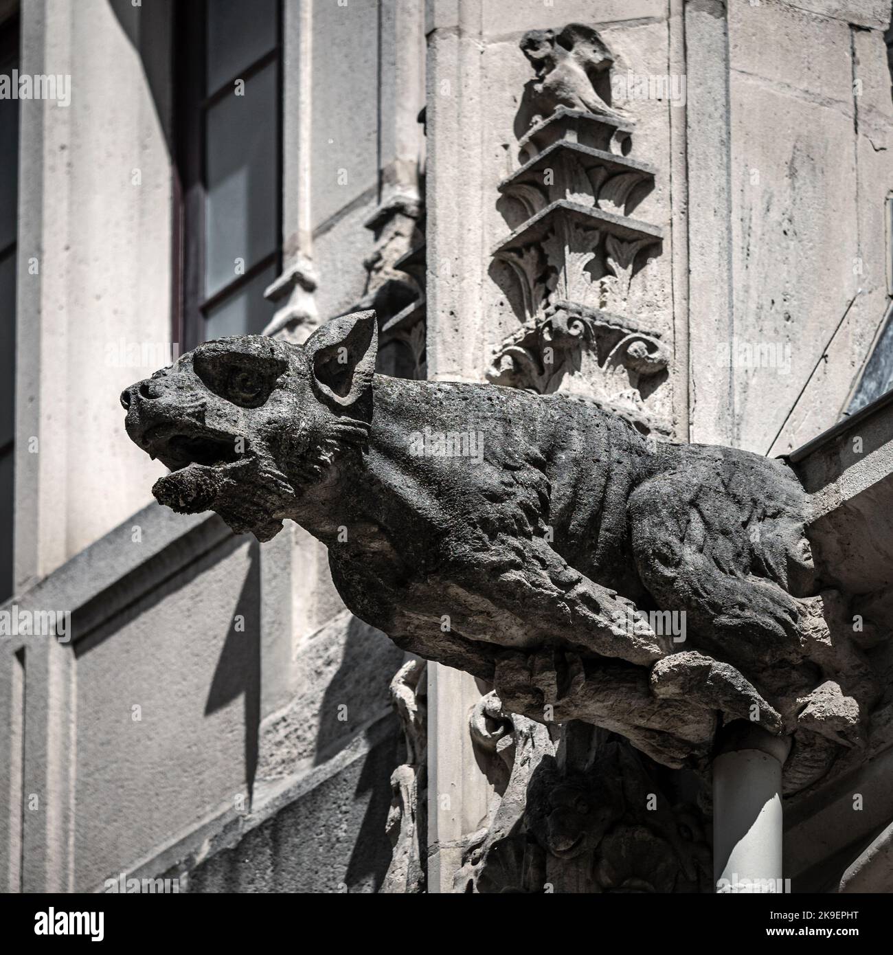 Medieval stone gargoyles on the roof of the palace in Nancy, Lorraine ...