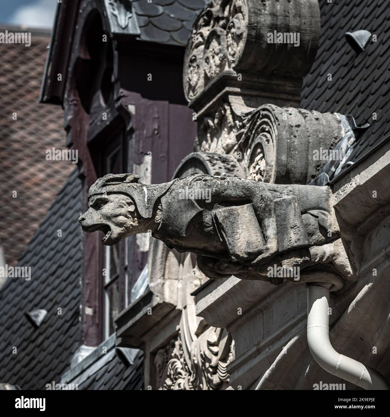 Medieval stone gargoyles on the roof of the palace in Nancy, Lorraine ...
