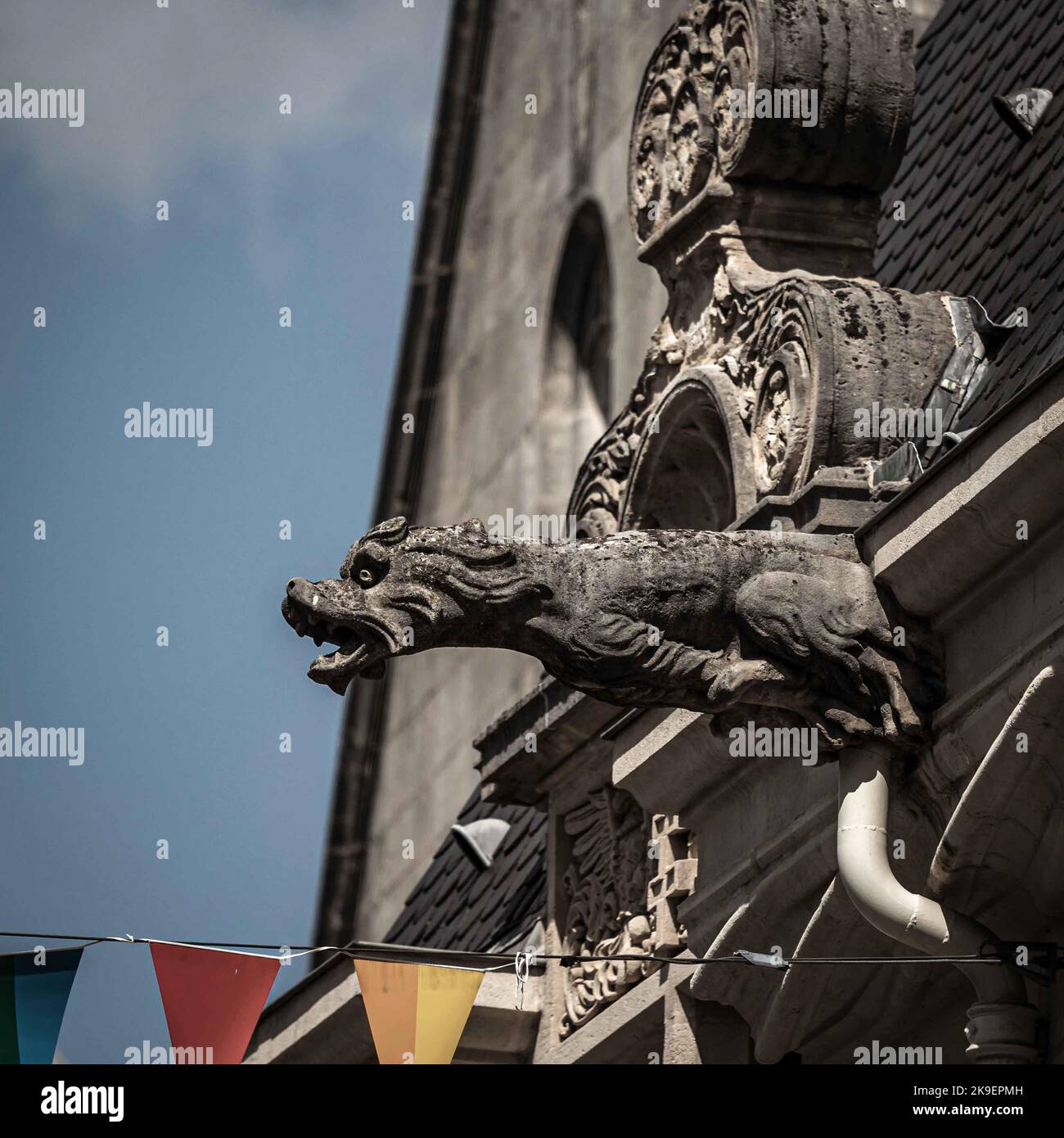 Medieval stone gargoyles on the roof of the palace in Nancy, Lorraine ...