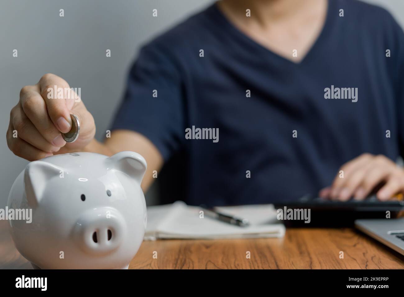 Pig parent hi-res stock photography and images - Alamy