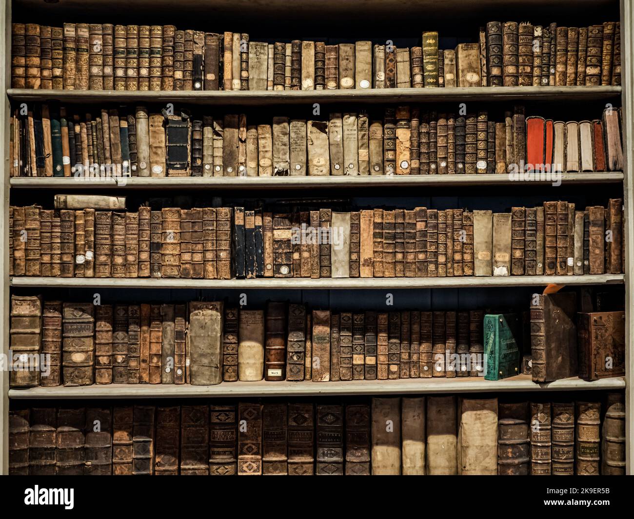 The ancient library of the seminary in Strasbourg. A collection of ...