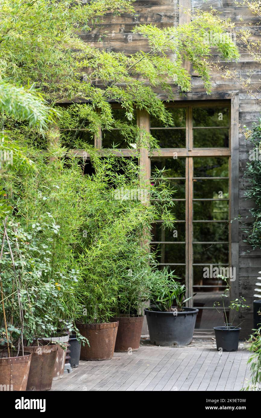 Landscaping of urban public spaces with different potted plants ...