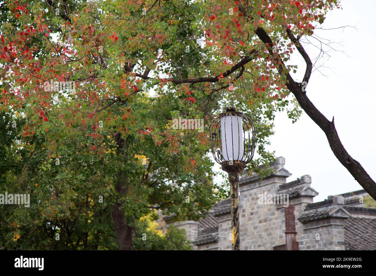 During the frost season, many street trees in the East Zhonghua Gate ...