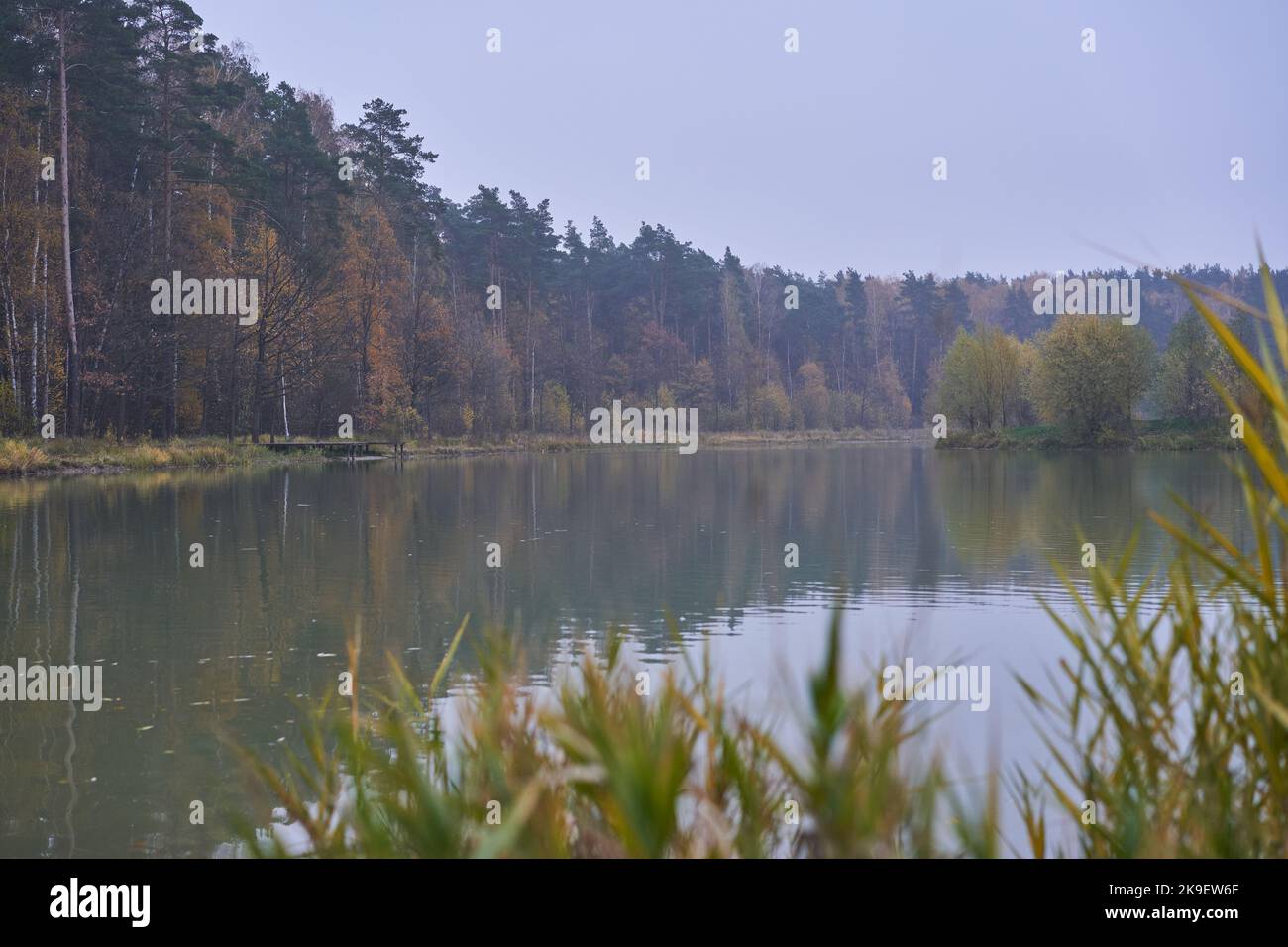 Pond surrounded by yellow trees. Autumn landscape in the park Stock ...
