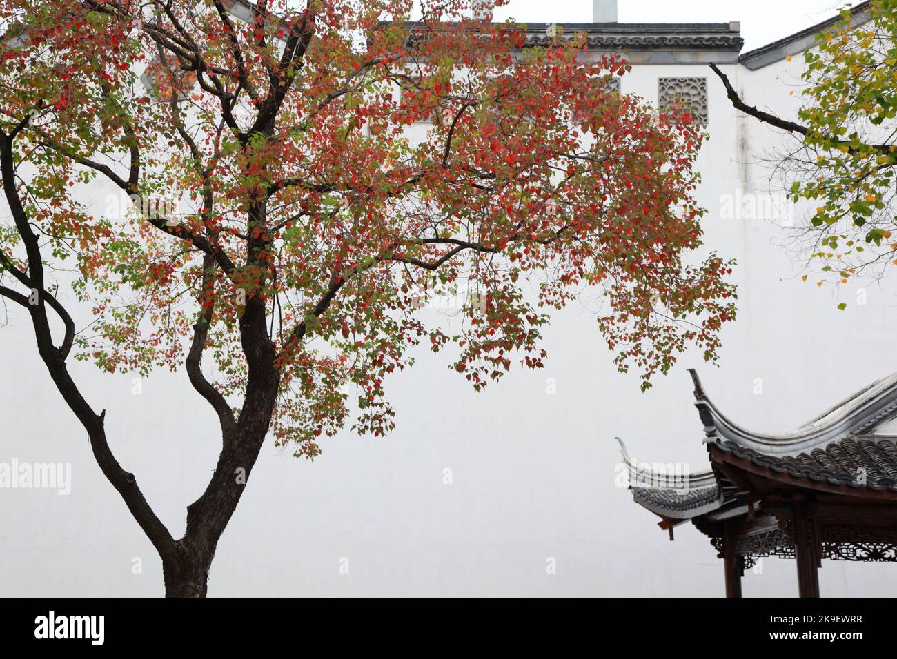 During the frost season, many street trees in the East Zhonghua Gate ...